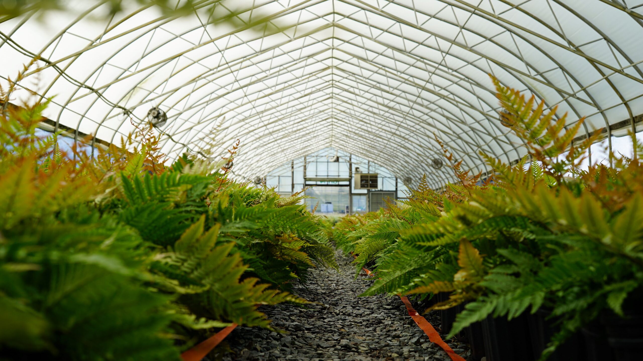 The Perennial Farm - Marylands Best