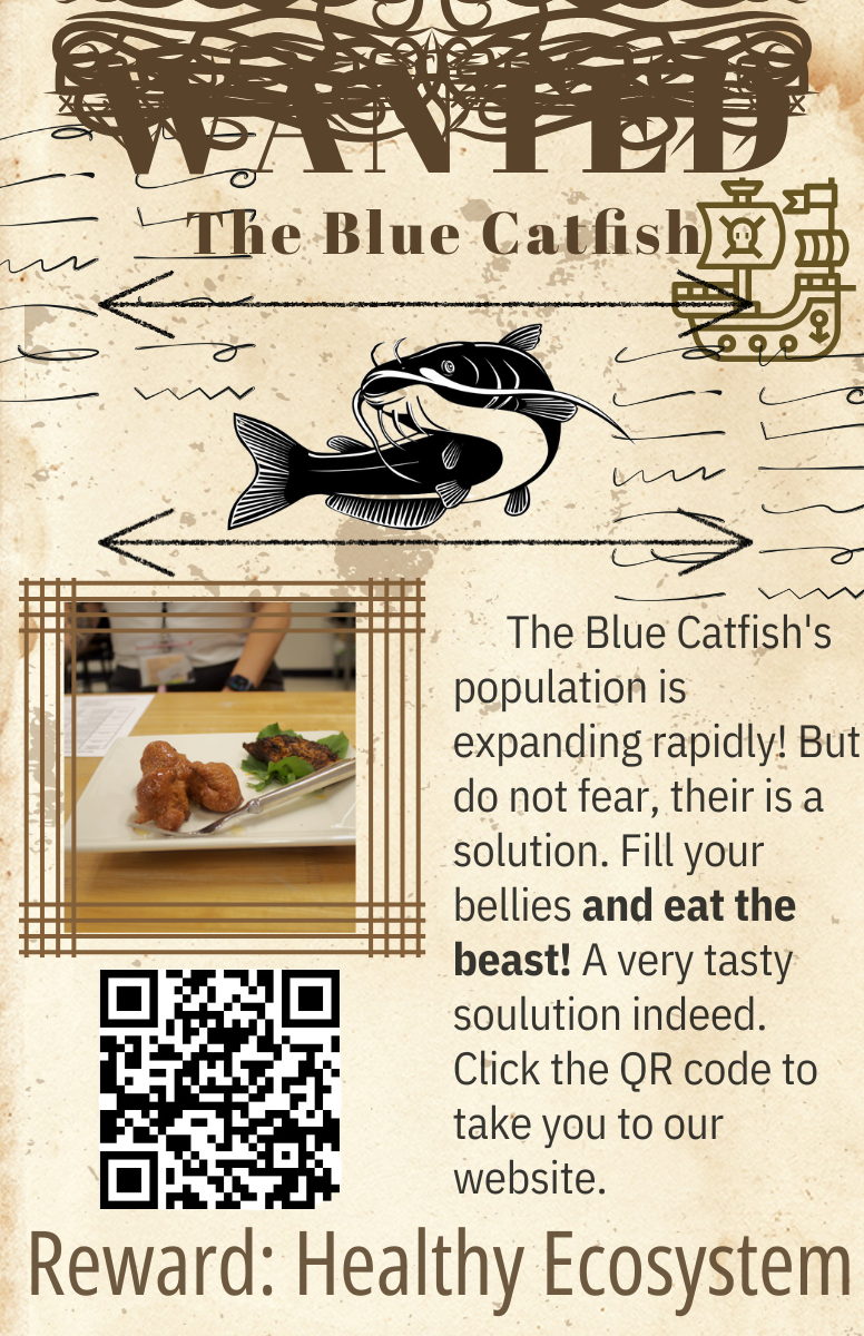 The blue catfish.pdf | Marylands Best